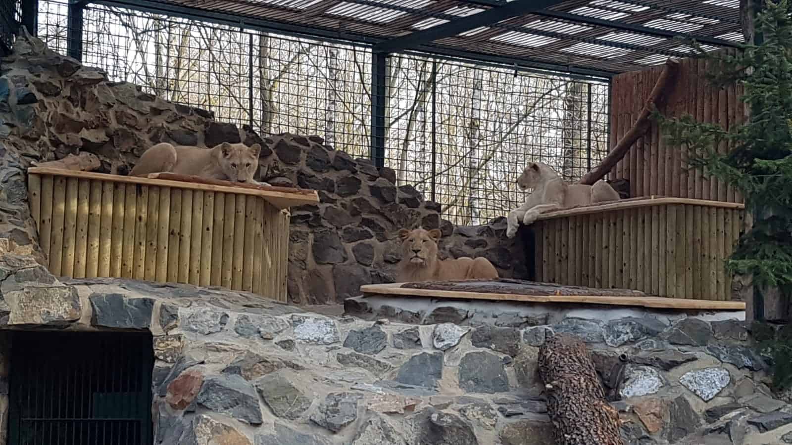 Zoo & Tierparks Thüringen - Beste Zoos in Thüringen