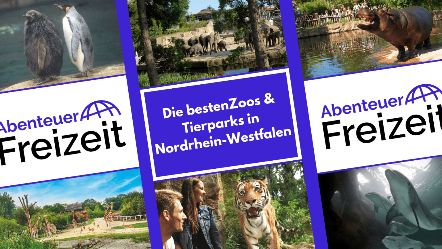Wunderbar Schãƒânsten Zoos Nrw Ebenbild