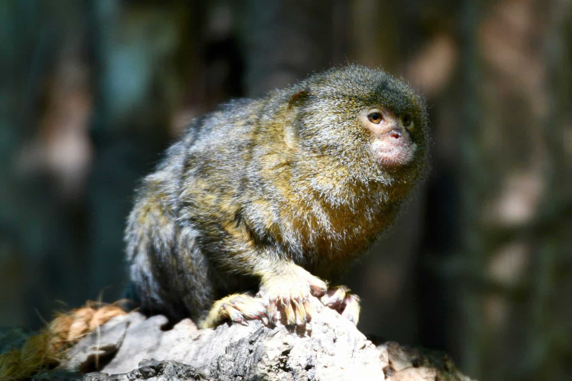 Tierpark Gera / Thüringen