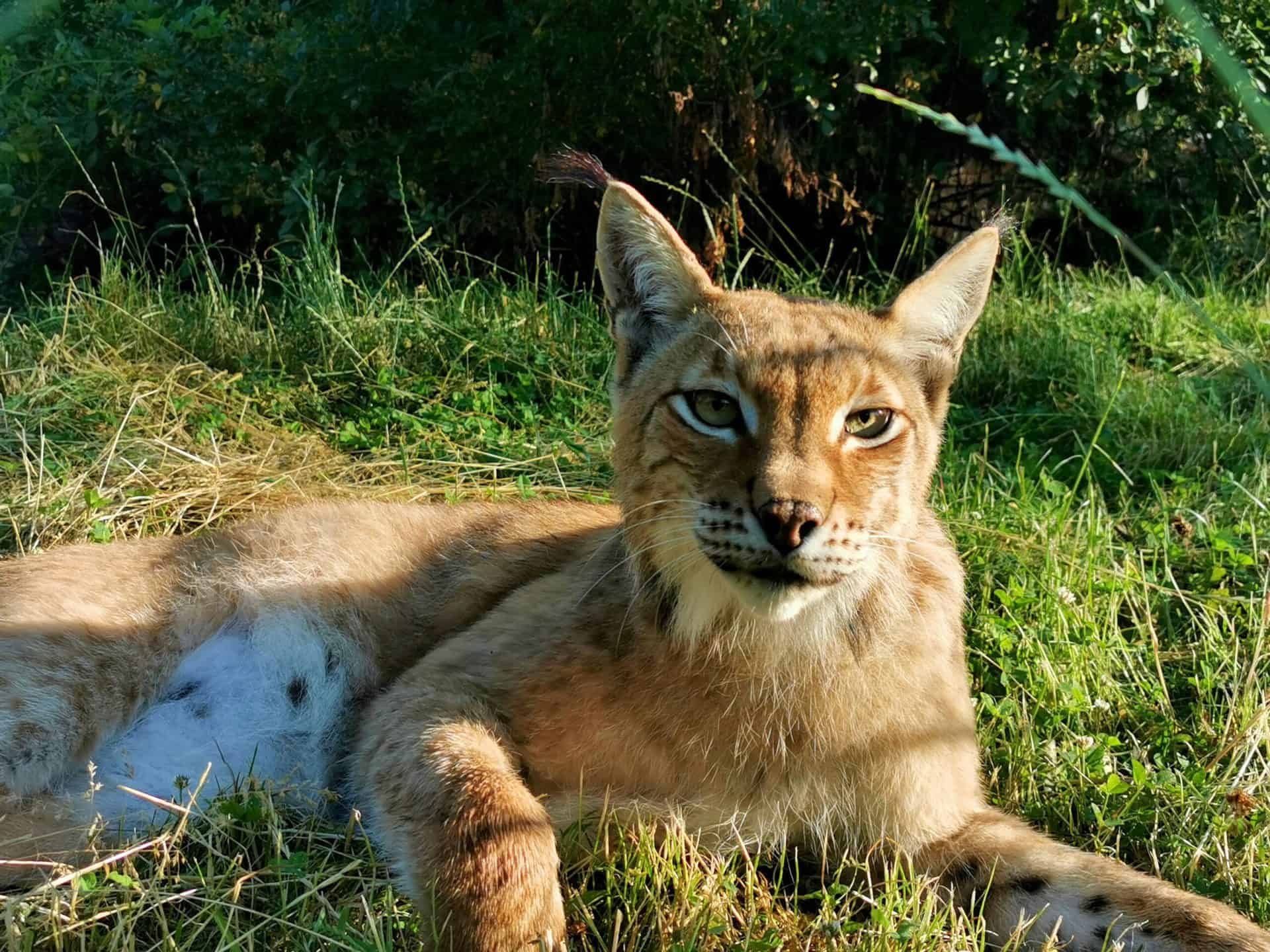 Tierpark Gera / Thüringen