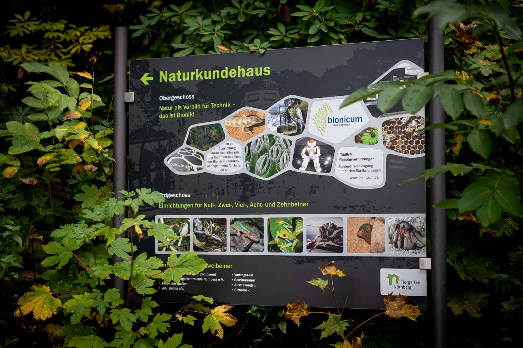 Tiergarten Nürnberg / Bayern