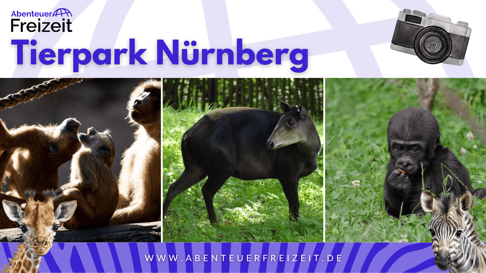 Tiergarten Nürnberg / Bayern