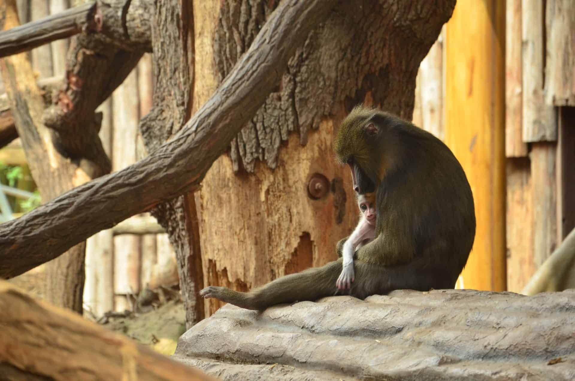 Zoo Magdeburg / Sachsen-Anhalt