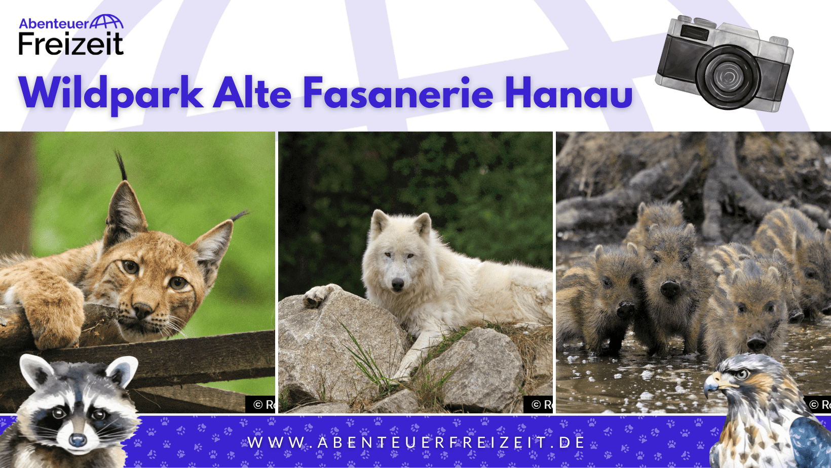 Wildpark Alte Fasanerie Hanau / Hessen
