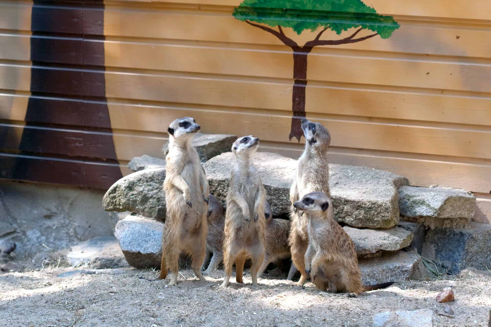 Tier-, Freizeit- und Saurierpark Germendorf / Brandenburg