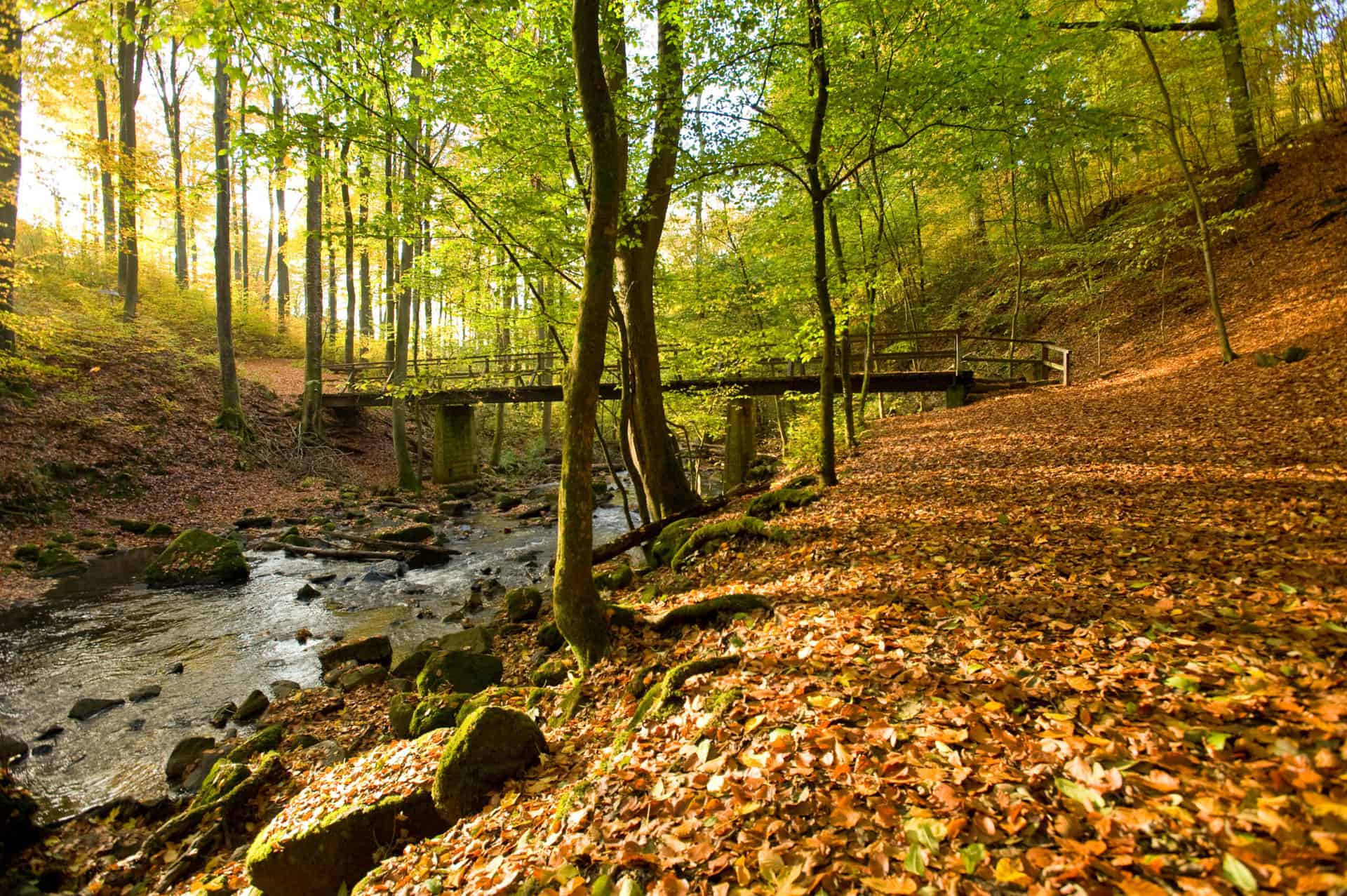 Westerwald Urlaub - Städte, Sehenswürdigkeiten & Ausflugsziele