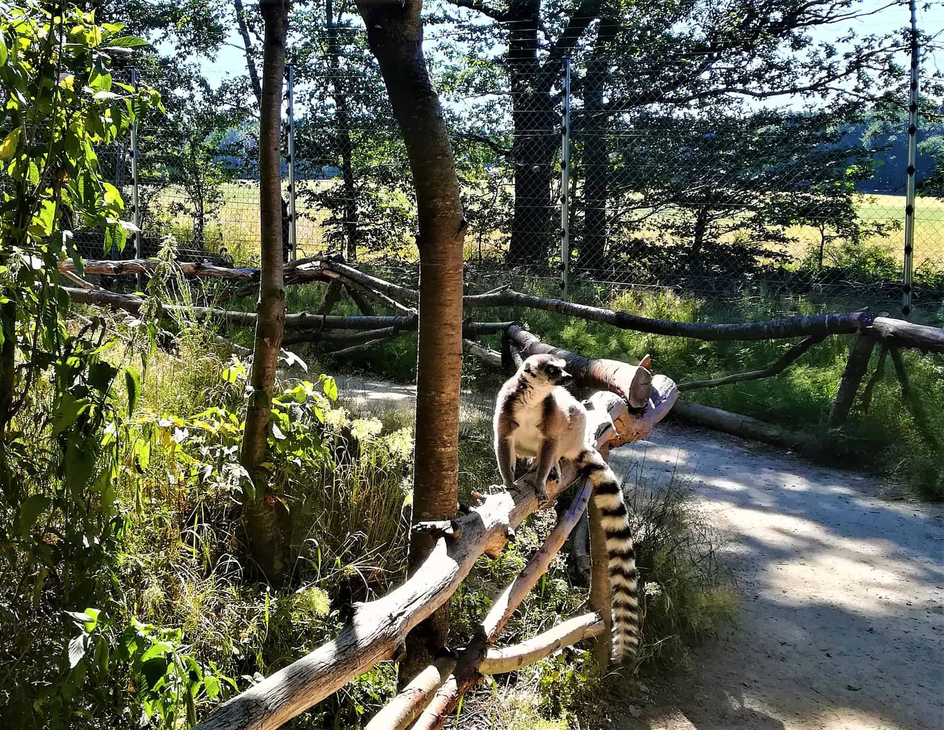 Tier-Erlebnispark Bell / Rheinland-Pfalz