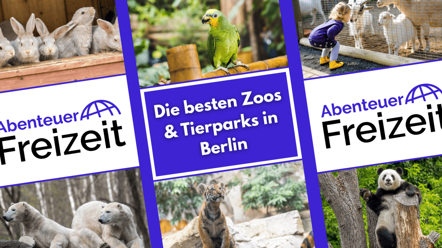 Die besten Zoos und Tierparks in Berlin und Umgebung